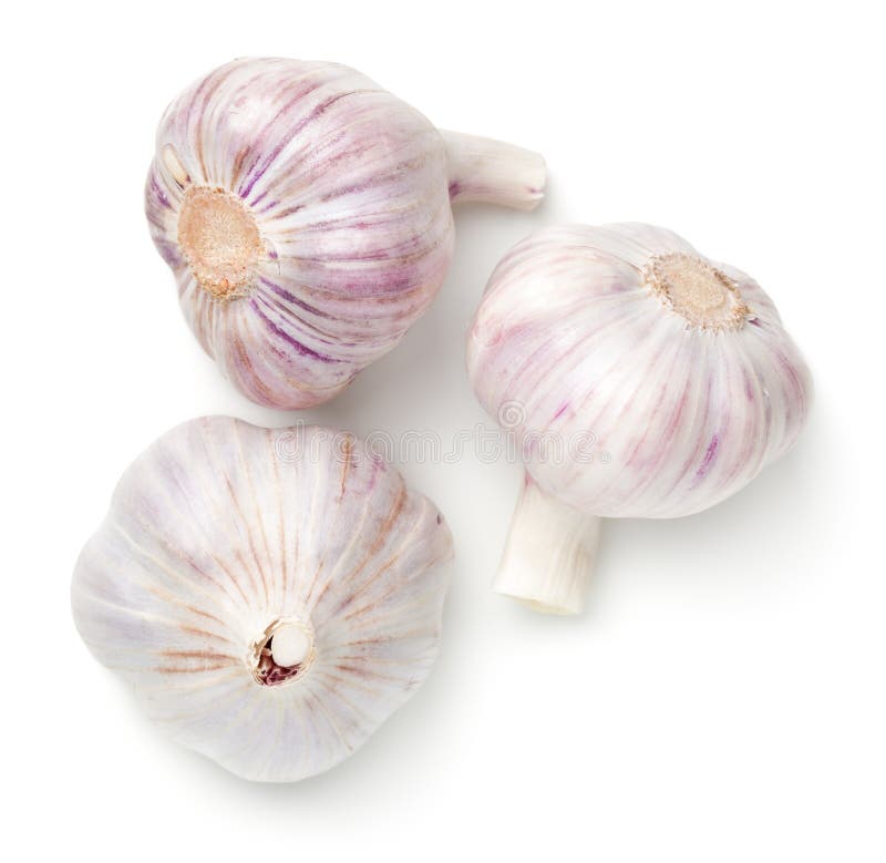 Garlic Isolated on White Background Stock Image - Image of vegetable ...