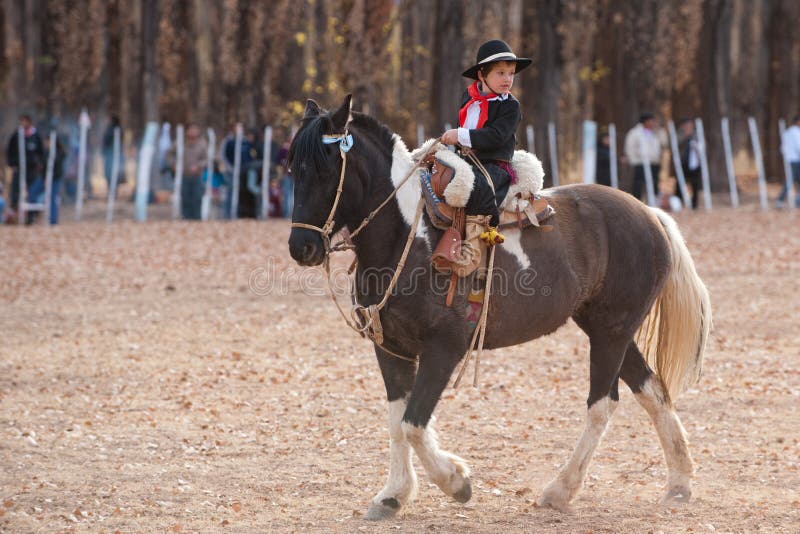 A Young Gaucho Riding a Horse in Exhibition Editorial Stock Image ...