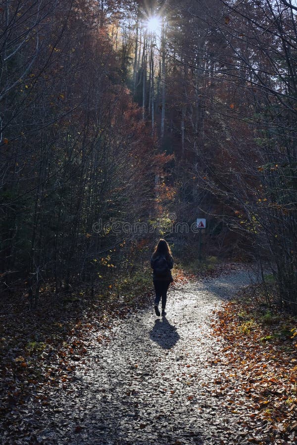 Young Girl with a Backpack is Walking through a Forest Stock Photo ...