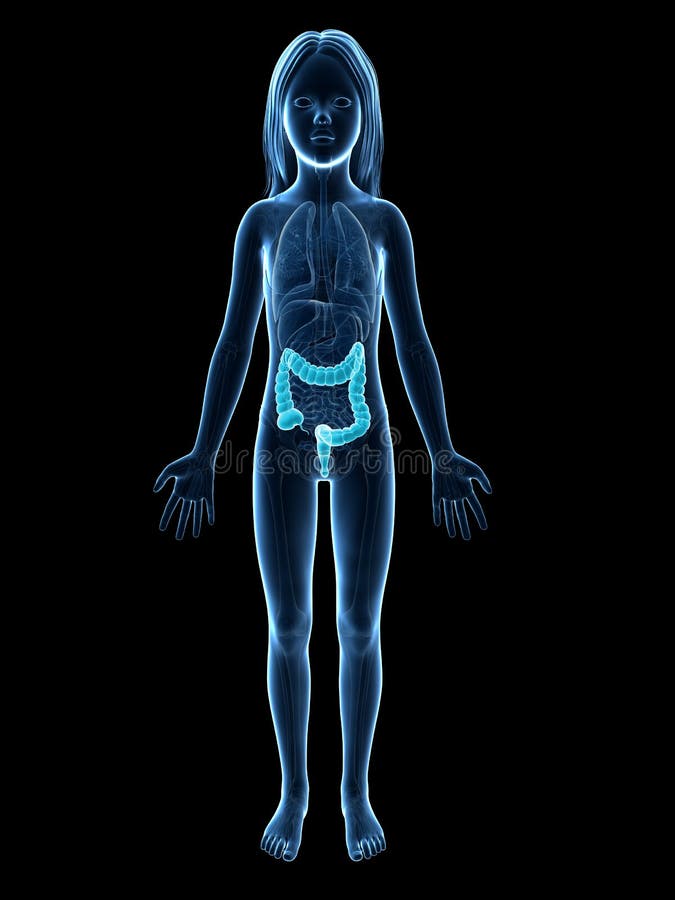 Young boy - the colon stock illustration. Illustration of intestine ...