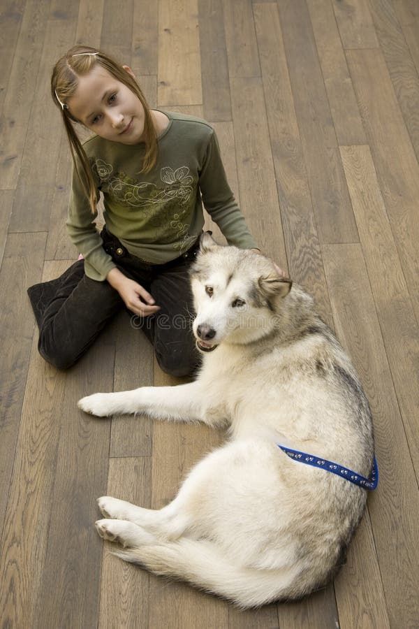 Young girl with dog stock photo. Image of love, cute, wood - 7507968