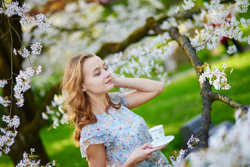 Young Girl Drinking Tea in Cherry Garden Stock Photo - Image of blossom ...