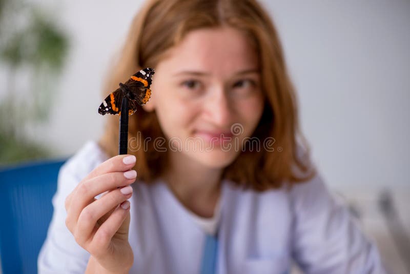 Young Female Entomologist Working at the Lab Stock Photo - Image of ...