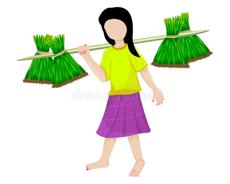 Girl Rice Farmer Stock Illustrations 195 Girl Rice Farmer Stock Illustrations Vectors