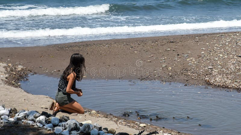 Young Girl Feeding Turtles at the Beach Stock Photo - Image of turtle ...