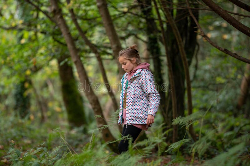 Girl in the forest. stock photo. Image of young, smiling - 214026268