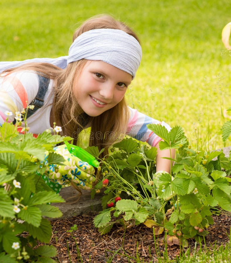 Young Girl Gathering Berries Stock Image - Image of camera, home: 57339555