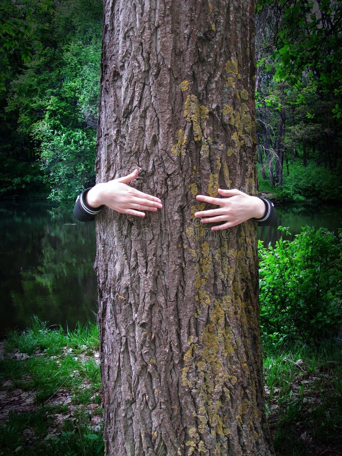 Young Girl Hands Embracing a Tree Stock Photo - Image of beautiful ...