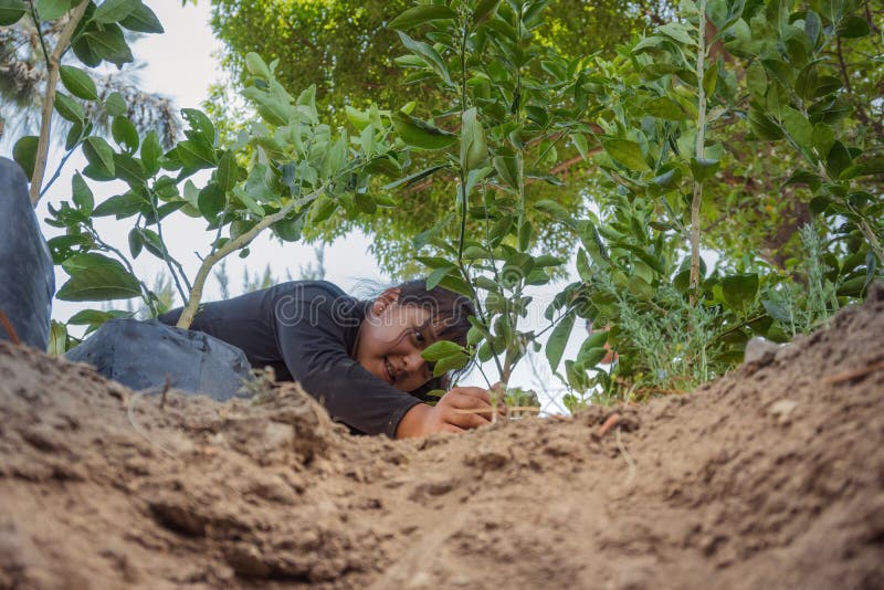 A Young Girl Plants a Small Tree in the Ground Stock Image - Image of ...