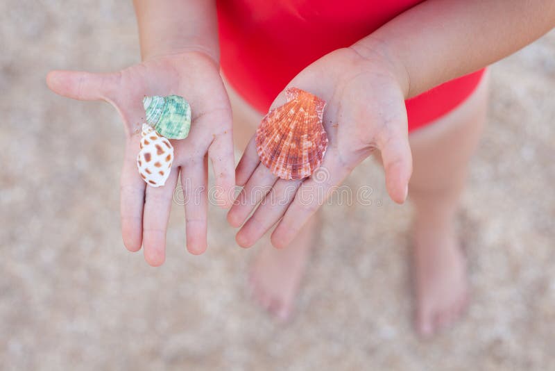 Young Girl Playing with Shells on the Beach Stock Image - Image of ...