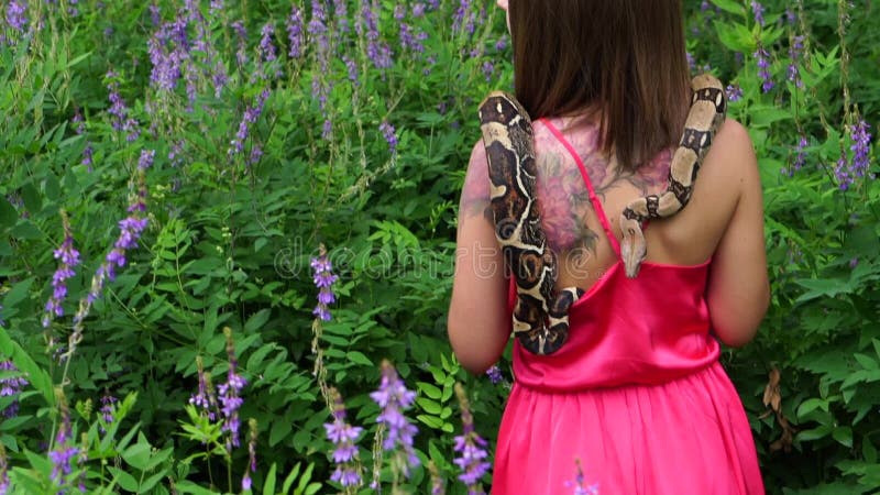 Young Girl Posing with a Snake Around His Neck on the Nature Stock ...