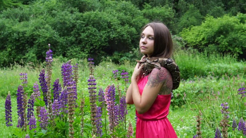 Young Girl Posing with a Snake Around His Neck on the Nature Stock ...