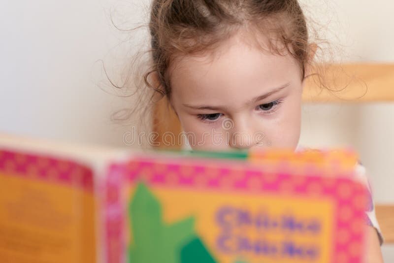 Young Girl Reading a Book Intently Stock Photo - Image of studying ...
