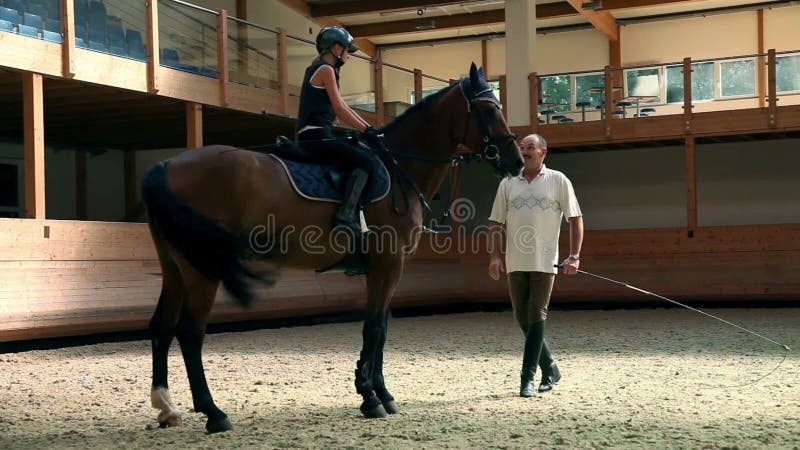 Young Girl Riding Horse Slowly Backwards Stock Footage - Video of ...