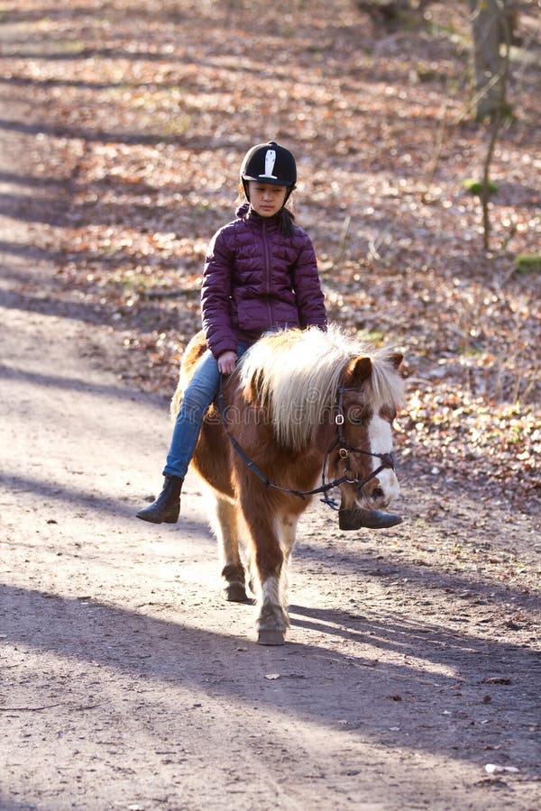 Girl riding a pony stock image. Image of riding, grace - 80942113