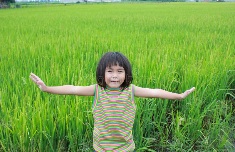 Young Girl Standing in the Rice Field. Stock Photo - Image of rural ...