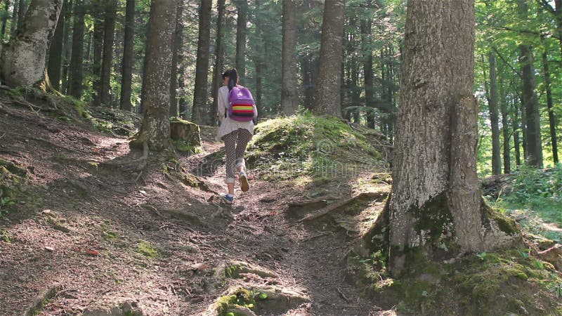 Young Girl with Tablet Computer Hiking in the Forest Stock Video ...