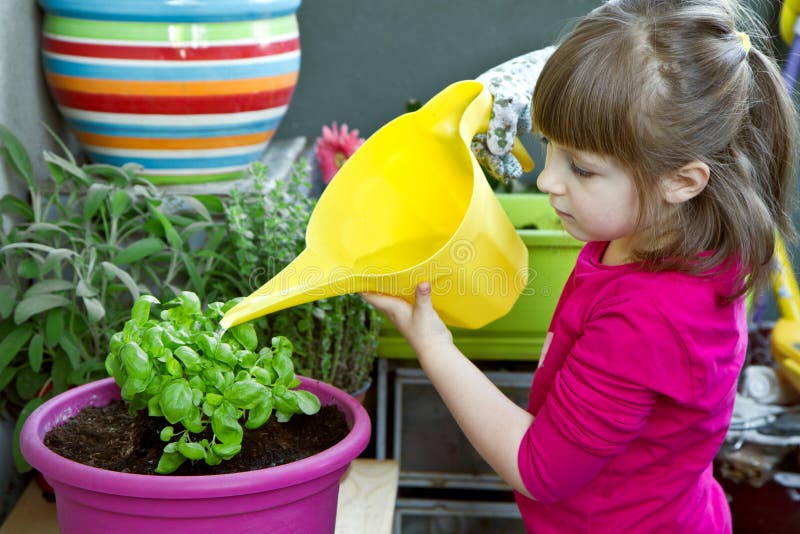 Young Girl Watering Basil Plant Smiling Stock Photo - Image of water ...
