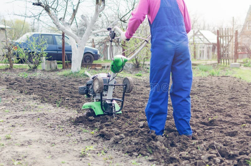 Young Girl Working in a Spring Garden with a Cultivator Stock Image ...