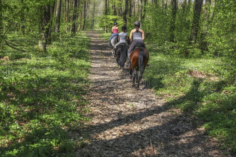 Young Girls Riding on Horseback through the Forest Editorial ...