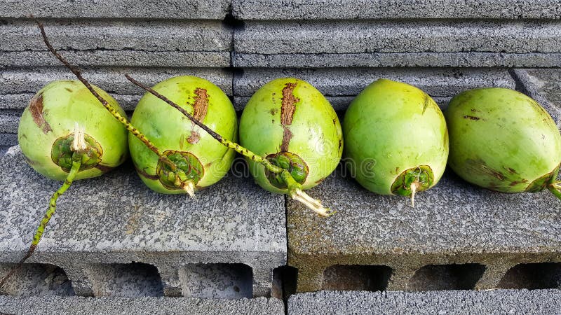 Young Green Coconuts with Nutrient, Health Benefits, Dietary Fib Stock ... Young Green Coconuts with Nutrient, Health Benefits, Dietary Fib Stock ...