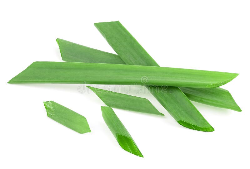 Young Green Onion Leaves Isolated on White Background. Green Onion Herb ...