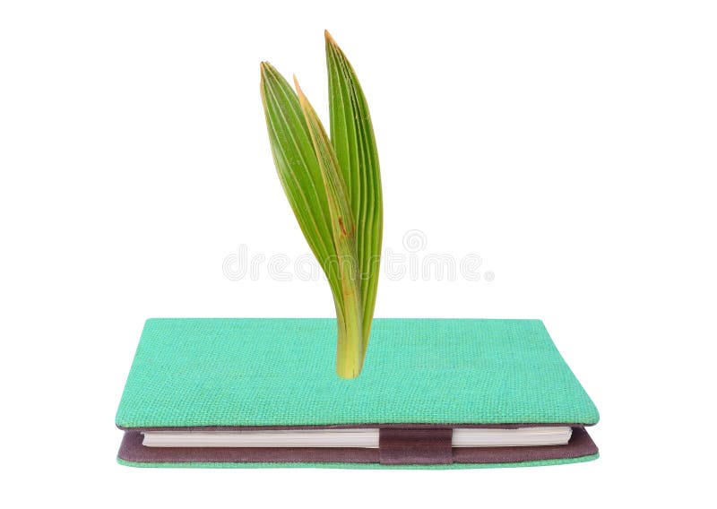 Young Green Small Plant Growing from Green Book Stock Image - Image of ...