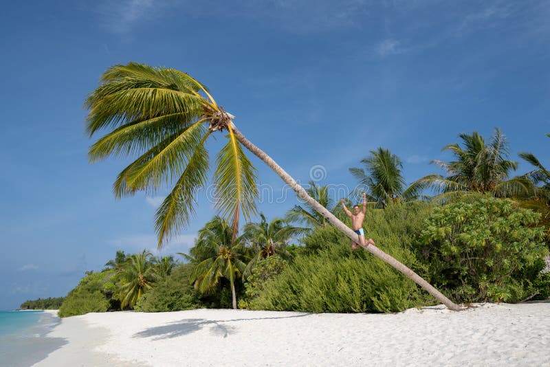 A Young Guy Climbed a Palm Tree. in the Background is Turquoise Water ...