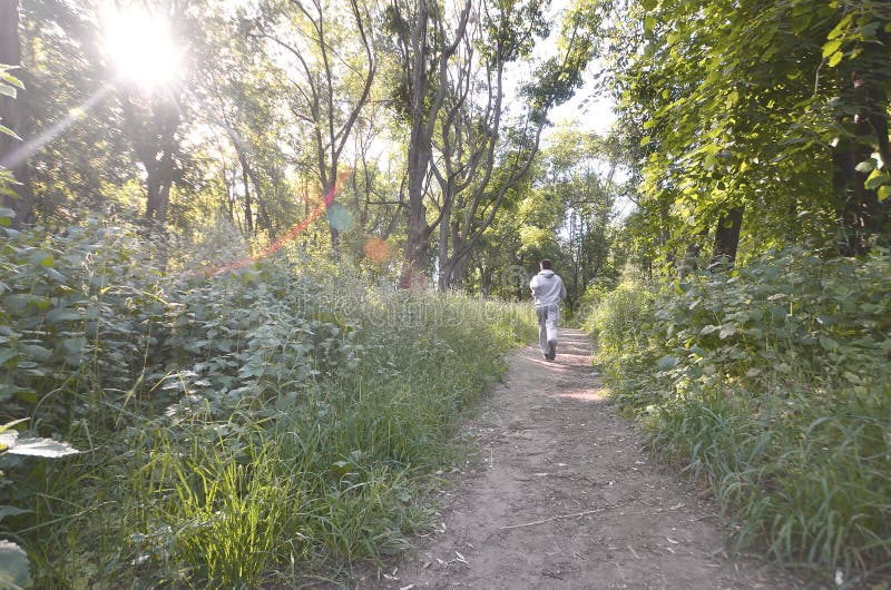 A Young Guy in a Gray Sports Suit Runs Along the Path among the Stock ...