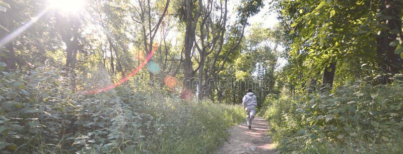 A Young Guy in a Gray Sports Suit Runs Along the Path among the Stock ...
