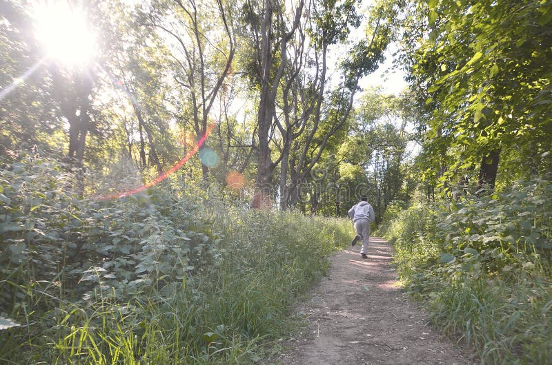 A Young Guy in a Gray Sports Suit Runs Along the Path among the Stock ...