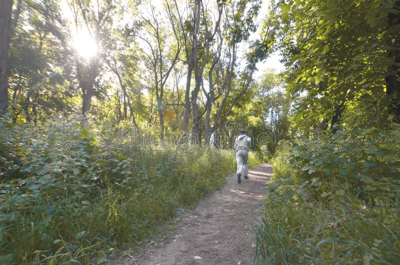 A Young Guy in a Gray Sports Suit Runs Along the Path among the Stock ...