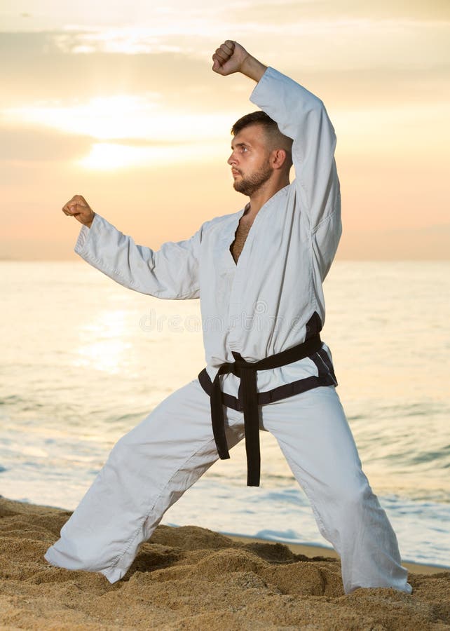 Young Guy Practising Karate Kata Poses Stock Photo - Image of strength ...