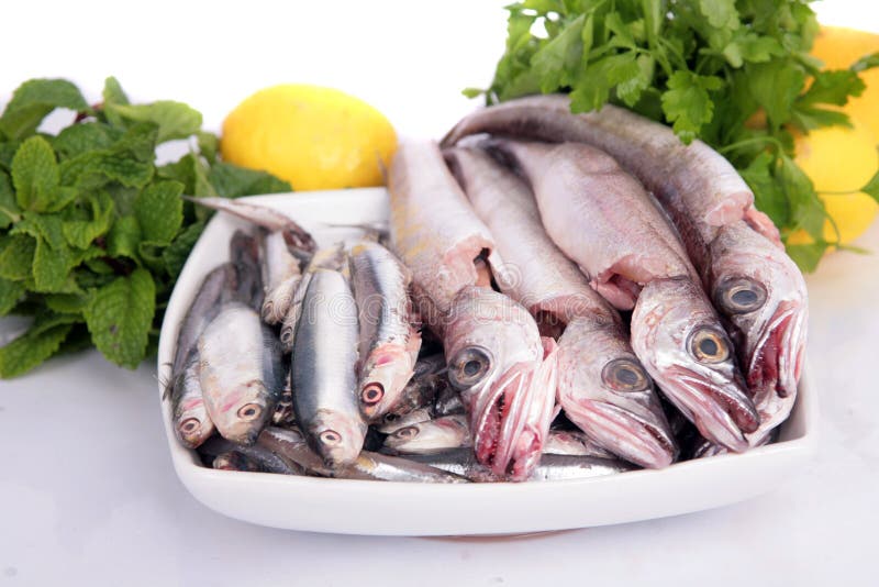 Hake head stock image. Image of hake, mouth, fish, seafood - 6776561