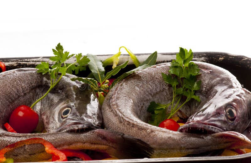 Young Hake Prepared for Cooking with Vegetables. Stock Photo - Image of ...