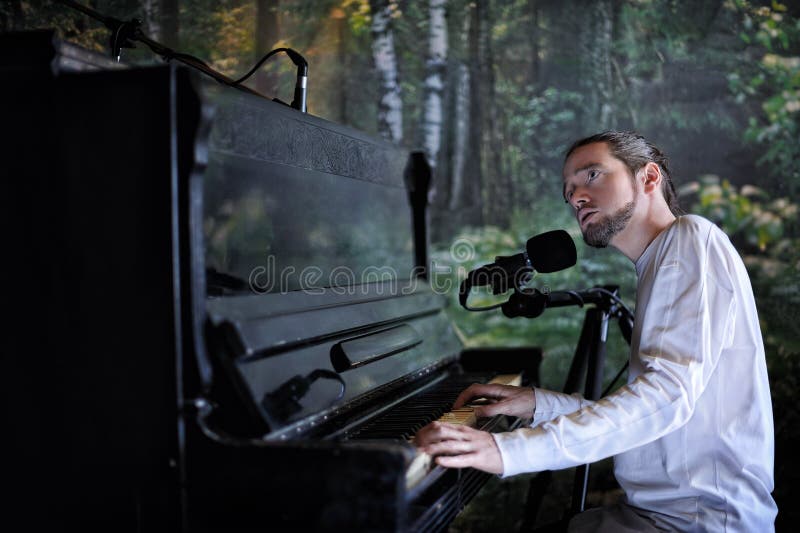 626 Piano Forest Stock Photos - Free & Royalty-Free Stock Photos from ...