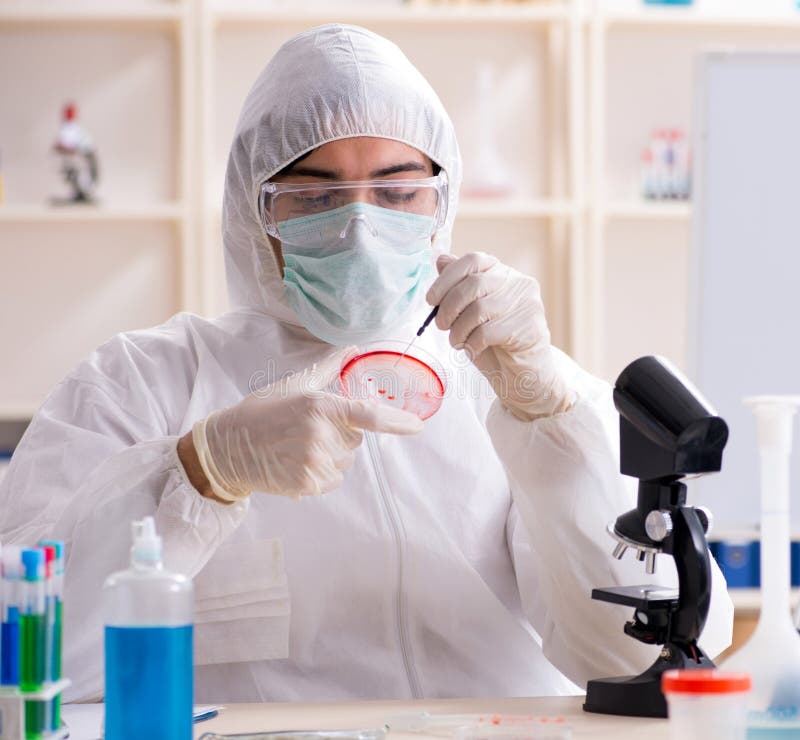 Young Handsome Chemist Working in the Lab Stock Image - Image of ...