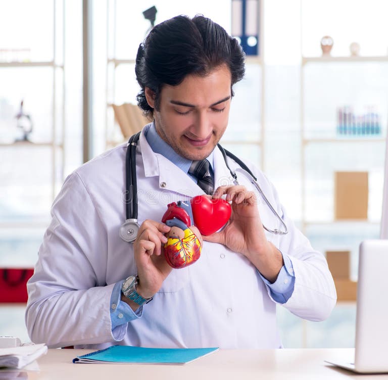 Young Handsome Doctor Cardiologist in Front of Whiteboard Stock Photo ...