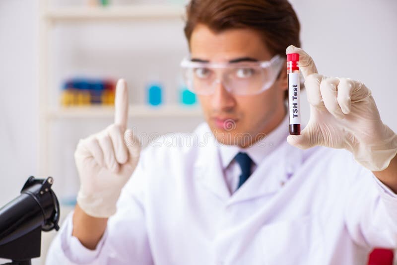 The Young Handsome Lab Assistant Testing Blood Samples in Hospital ...
