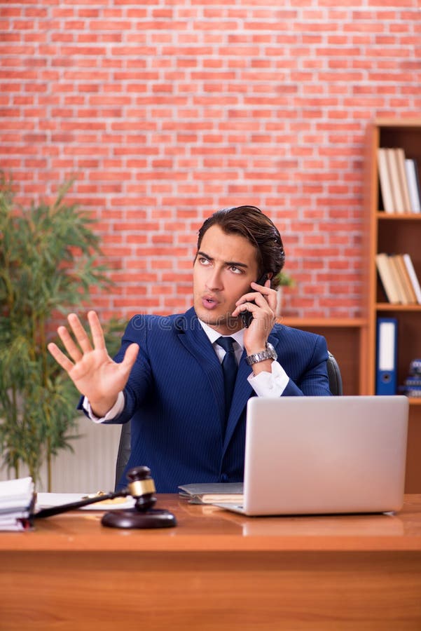 The Young Handsome Lawyer Working in His Office Stock Image - Image of ...