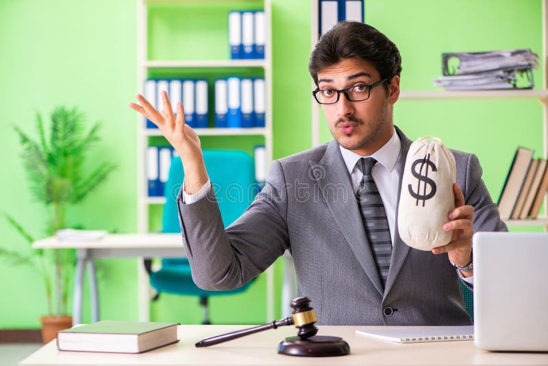 The Young Handsome Lawyer Working in the Office Stock Image - Image of ...