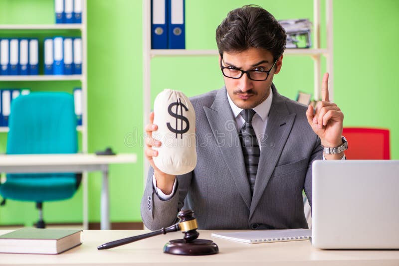 The Young Handsome Lawyer Working in the Office Stock Image - Image of ...