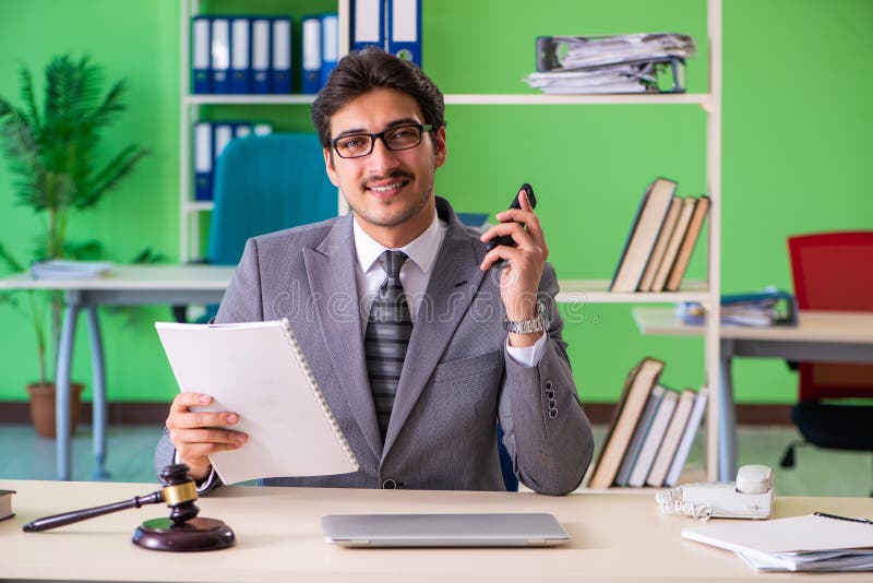 The Young Handsome Lawyer Working in the Office Stock Image - Image of ...