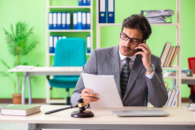 The Young Handsome Lawyer Working in the Office Stock Image - Image of ...