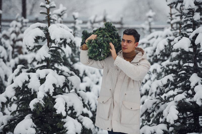 Young Handsome Man Carrying Fresh Cutted Fir Tree Outdoors Stock Image ...