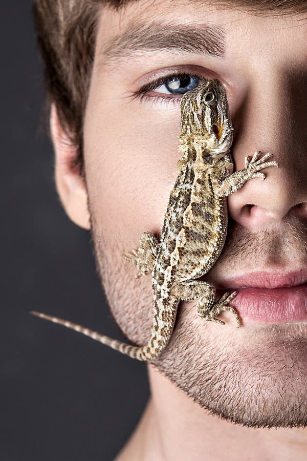 Young Handsome Man with Lizard on His Face Stock Image - Image of ...