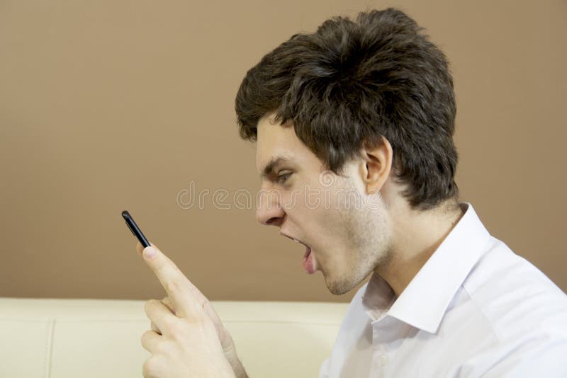 Looks Angrily. White Polar Owl in Summer, Wild Bird of Prey, Expressive ...