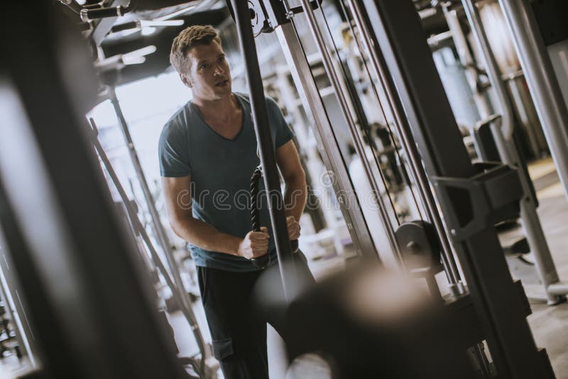Young Sporty Man Working Out on Pull-down Machine in Gym Stock Photo ...