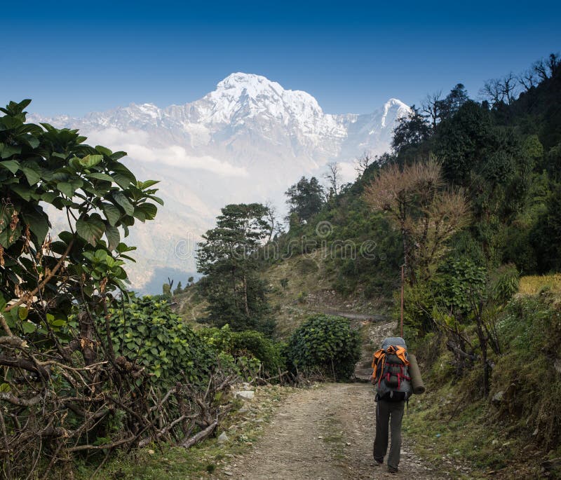 Young Happy Backpackers in the Mountain Enjoying Stock Photo - Image of ...