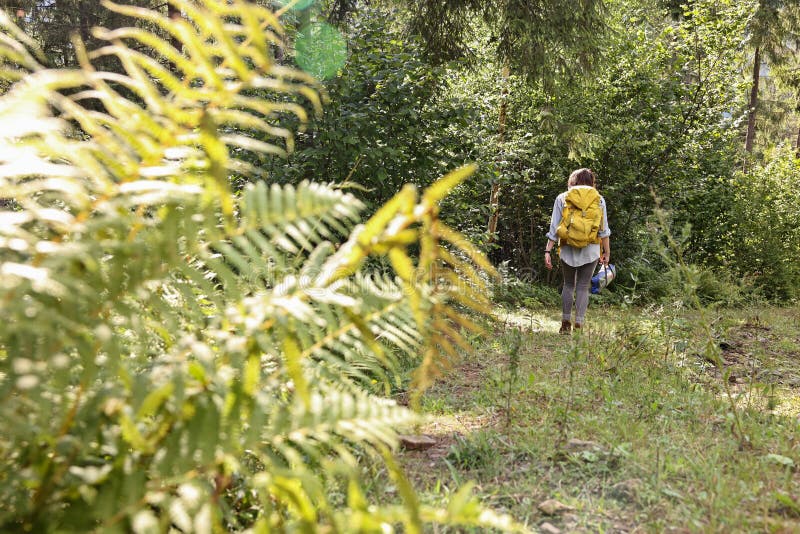 Young Hiker with Backpack Walking in Forest, Back View Stock Photo ...
